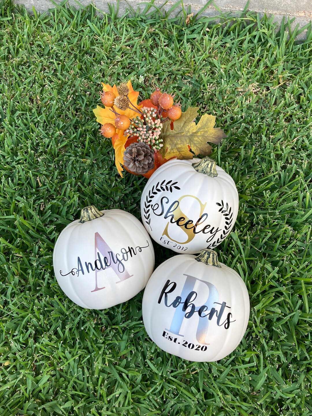 Small Pumpkins With Names for Fall Home Decor, Office Decor, Dorm Room ...