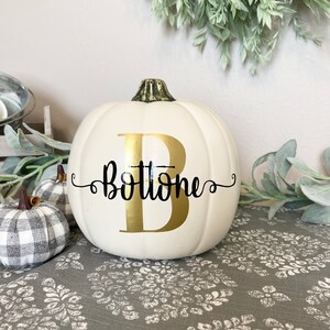 Small Pumpkins With Names for Fall Home Decor, Office Decor, Dorm Room ...