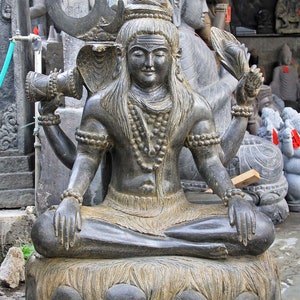 33 Bilva Patra LEAVES Aegle Marmelos Bael Bel Patra Bhagavan Shiva ...