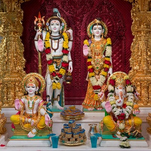 33 Bilva Patra LEAVES Aegle Marmelos Bael Bel Patra Bhagavan Shiva ...