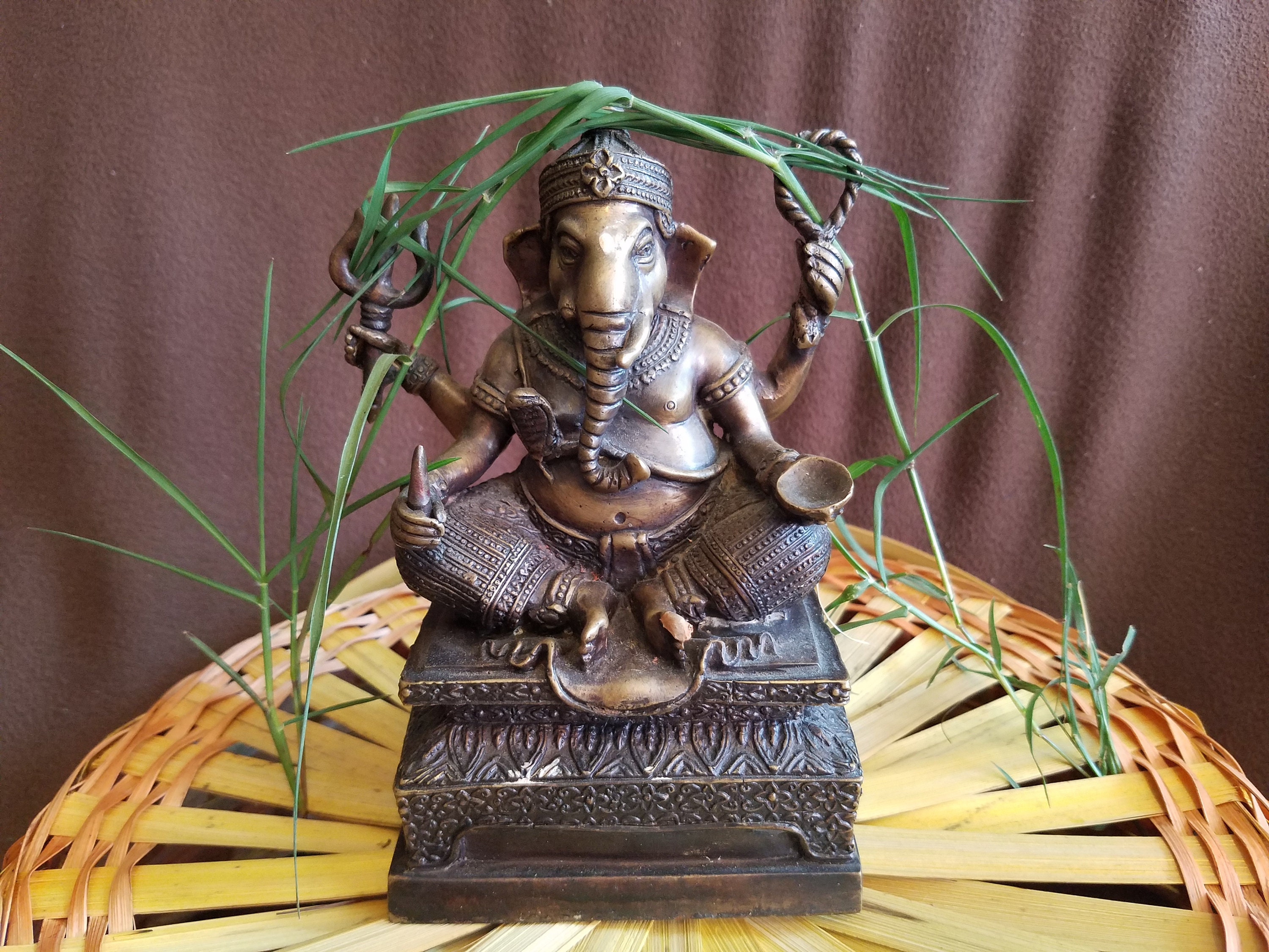 DOOB Sacred DHOOB Live Bareroot Plant Religious Ritual Durva | Etsy