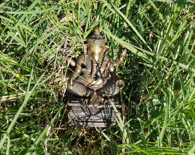 DOOB Sacred DHOOB Live Bareroot Plant Religious Ritual Durva Grass Lord ...