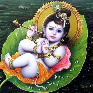 33 FRESH Banyan LEAVES Aka Vatapatra Ashvattha Ficus Benghalensis ...