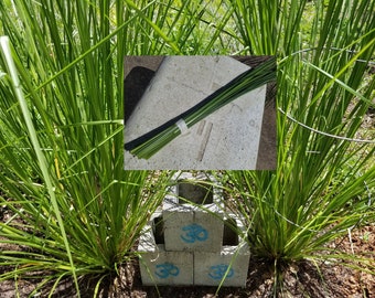 KUSA Sacred Kusha Bareroot Live Plant Desmostachya Bipinnata ...