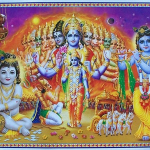 33 FRESH Banyan LEAVES Aka Vatapatra Ashvattha Ficus Benghalensis ...