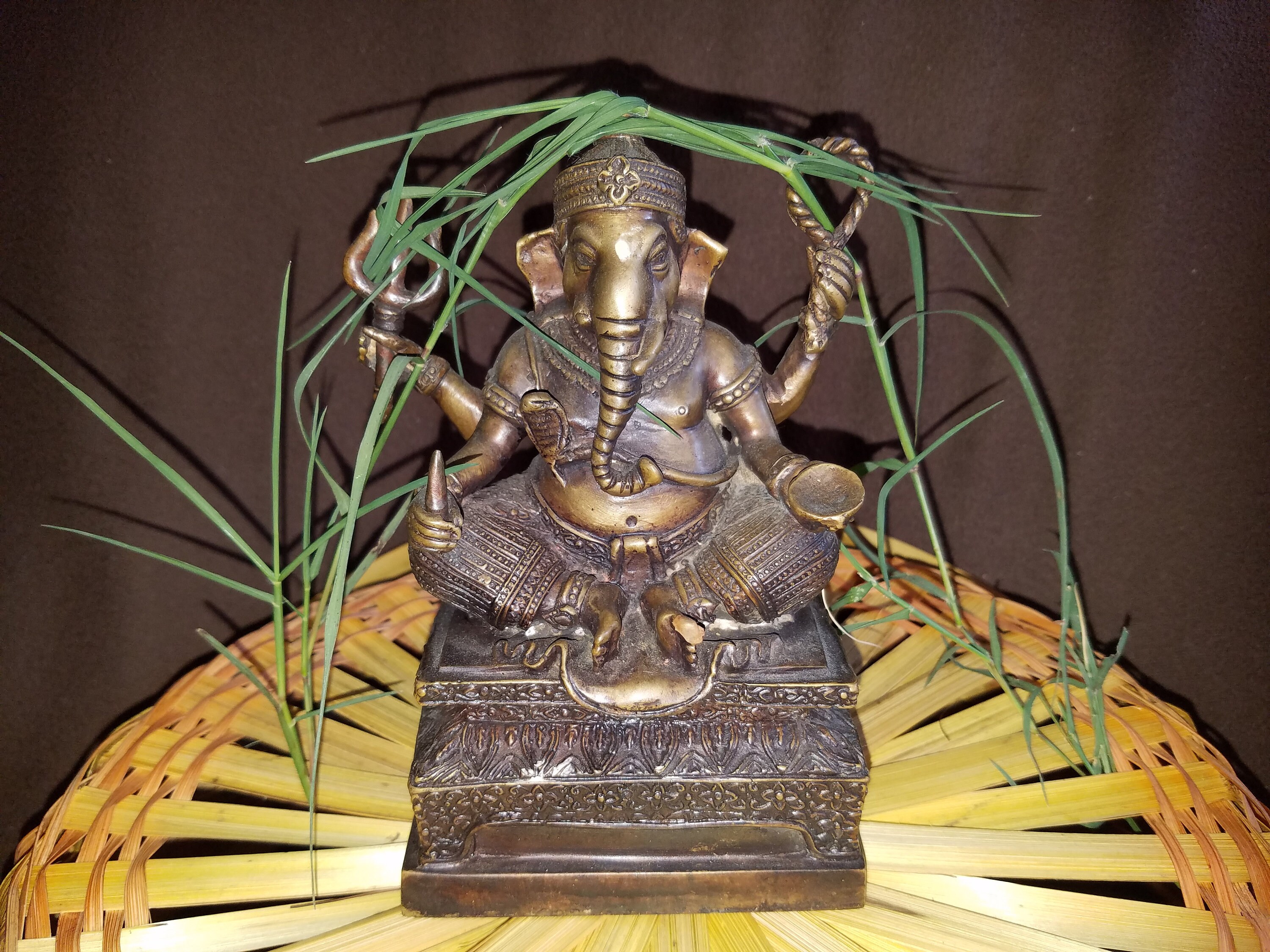 DOOB Sacred DHOOB Live Bareroot Plant Religious Ritual Durva | Etsy