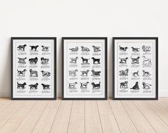 Dog Breed Sheet - Etsy