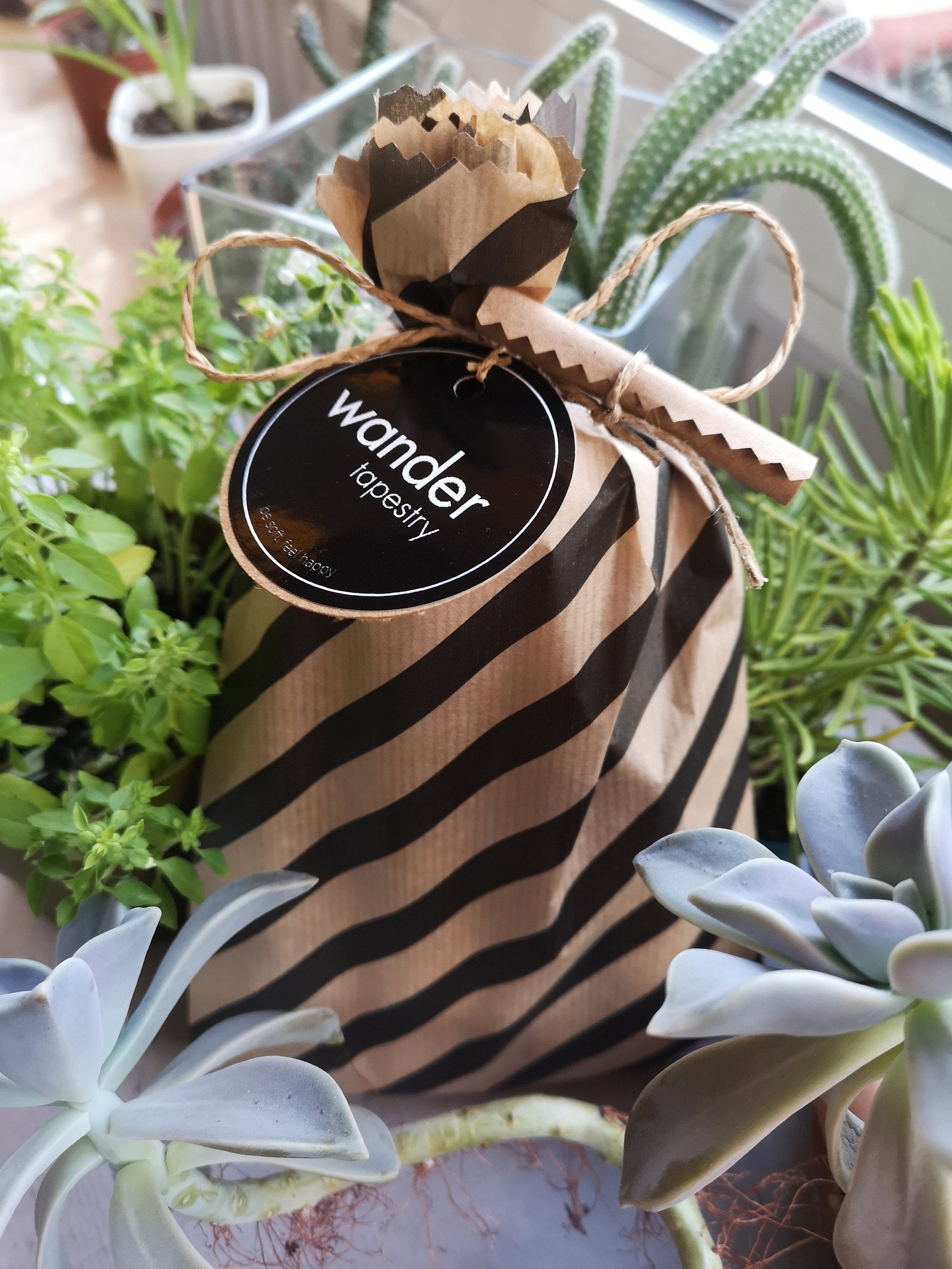 Albert Hoffman Bicycle Acid LSD Bohemian Psychedelic | Etsy