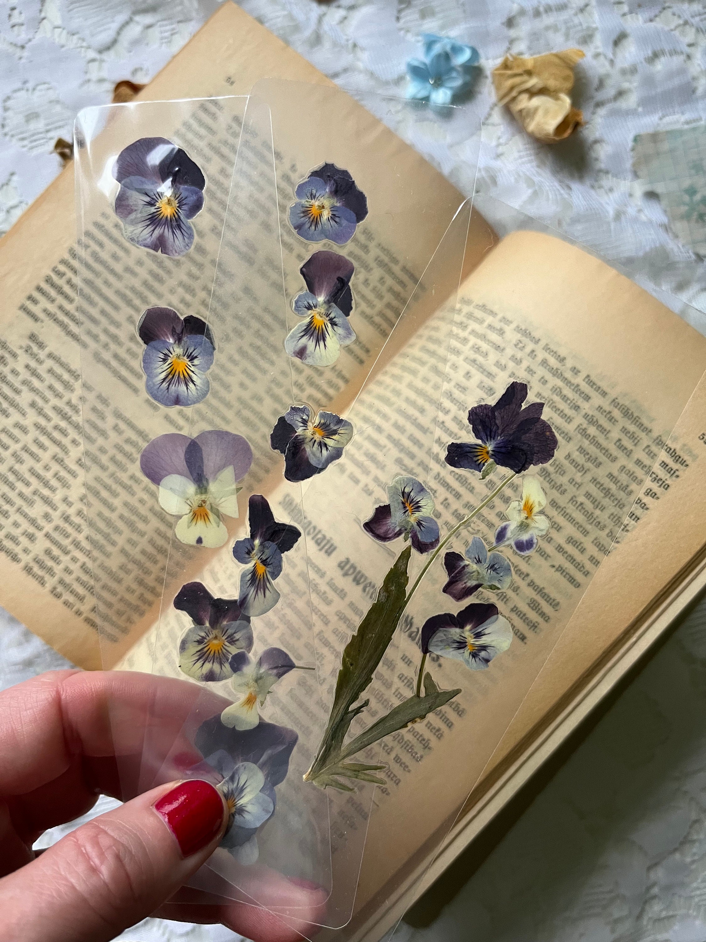 Set of 3 Pressed and Laminated Flowers bookmark Size, Specimen Cards ...