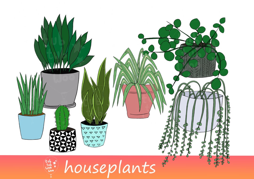 Houseplants Hand Drawn Clipart - Etsy