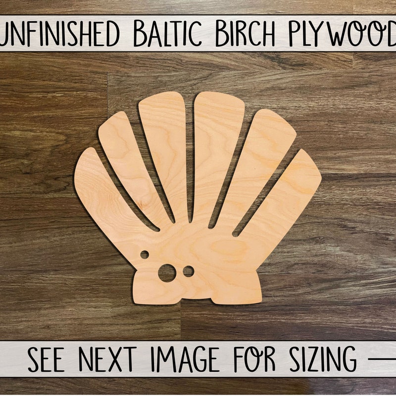 Cut Seashells - Etsy