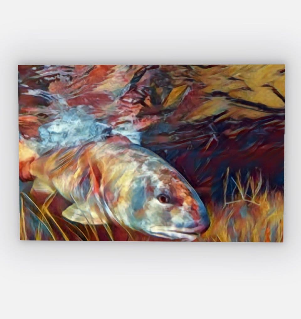 Redfish Canvas Wrap Art , Redfish Prints Canvas.redfish Canvas Print ...