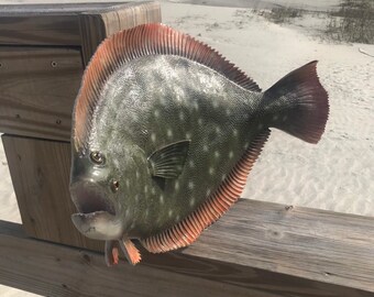 Fish Wall Mount | Etsy