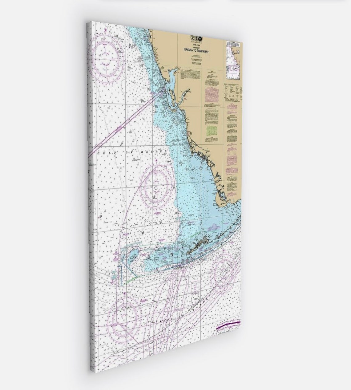 Southwest Florida, Naples, Marco Island, Tampa, Ft Meyers, Key West ...