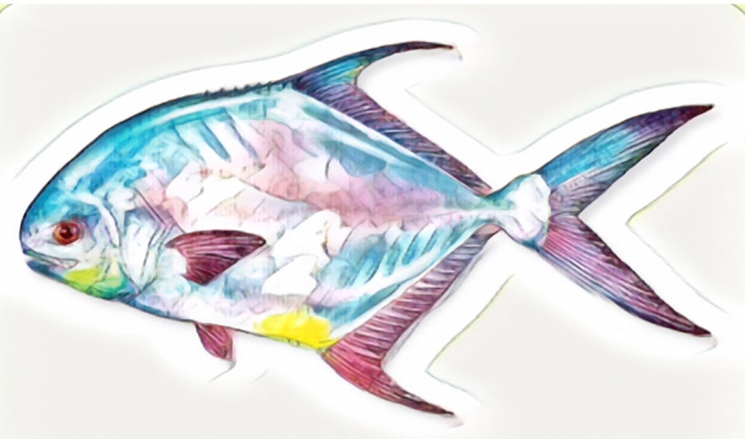 Permit License Plate, Fisherman Decorative License Plate, Permit ...