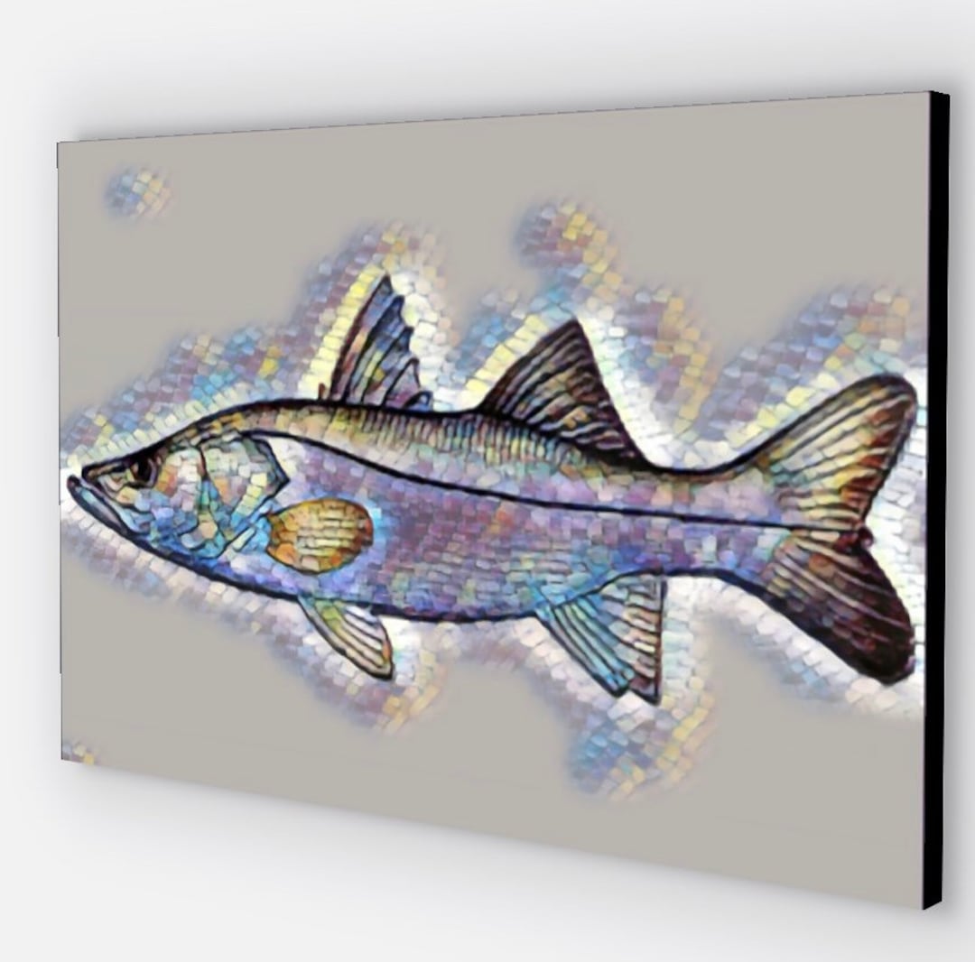 Snook Fish Art Canvas Snook Fishing Prints Canvas Prints 16”x26”snook ...