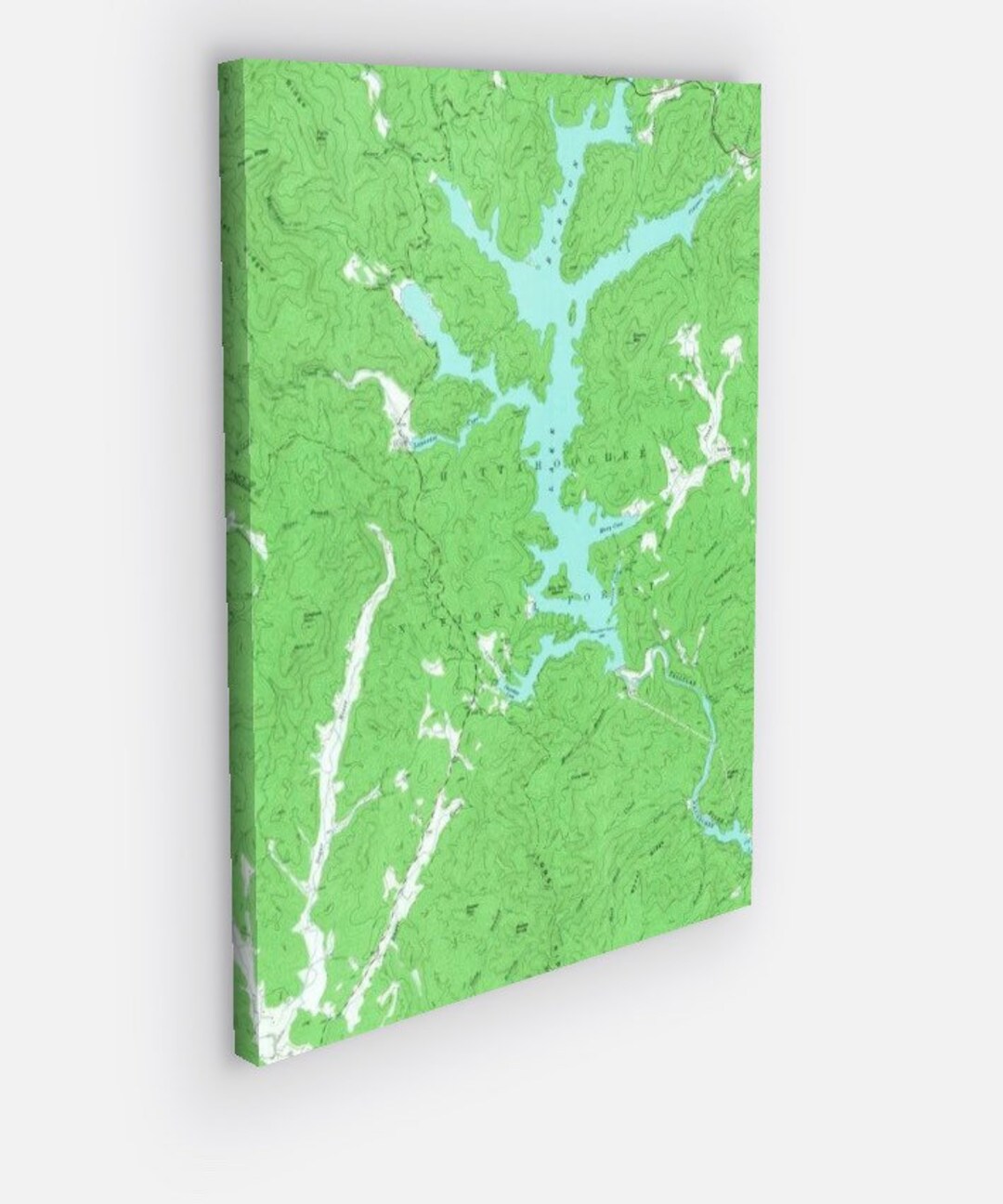 Lake Burton Georgia Topo Map on Canvas , Canvas Wrapped Canvas North ...