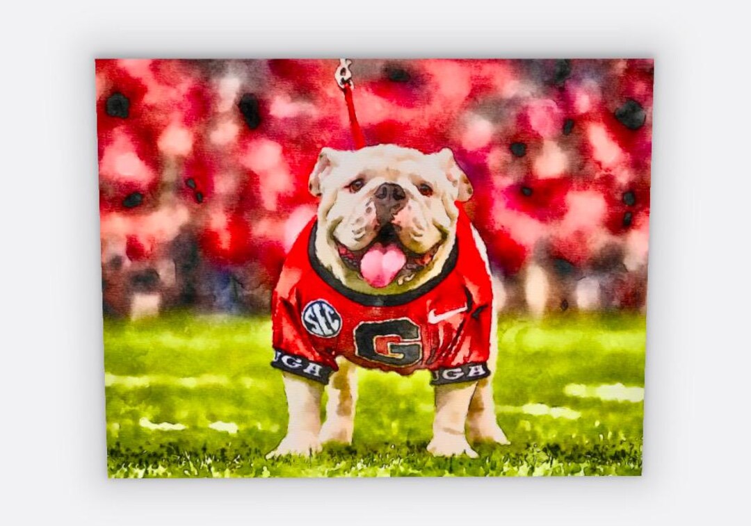 24” X 36” Watercolor Art UGA Bulldog Mascot Art on Canvas”georgia ...
