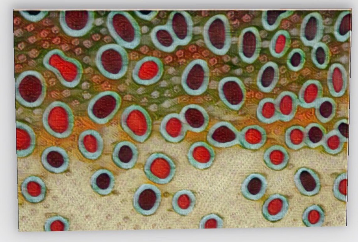 Brown Trout Art Canvas Art Trout Skin Fishing Canvas Prints 16”x20 ...