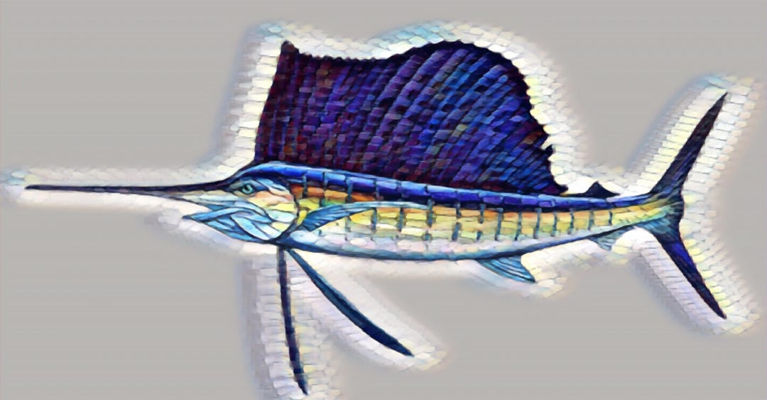 Sailfish Water Color License Plate, Fisherman Decorative License Plate ...