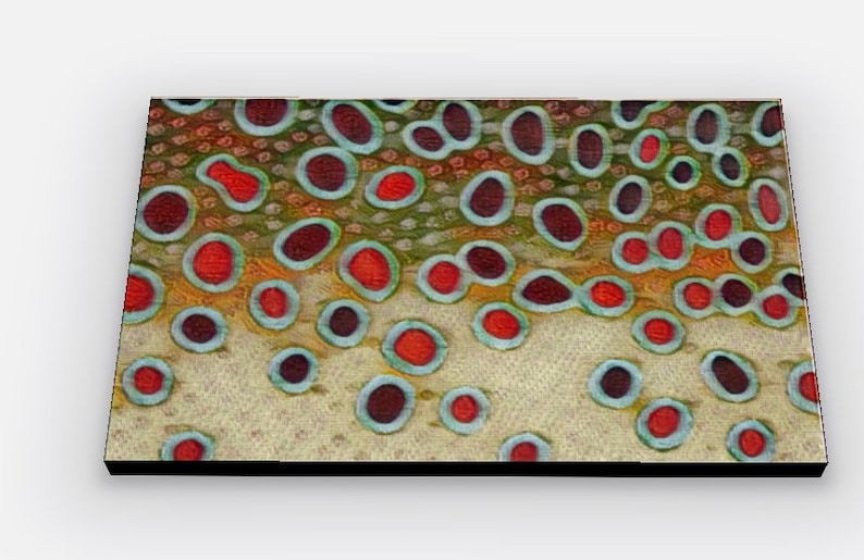 Brown Trout Art Canvas Art Trout Skin Fishing Canvas Prints 16”x20 ...