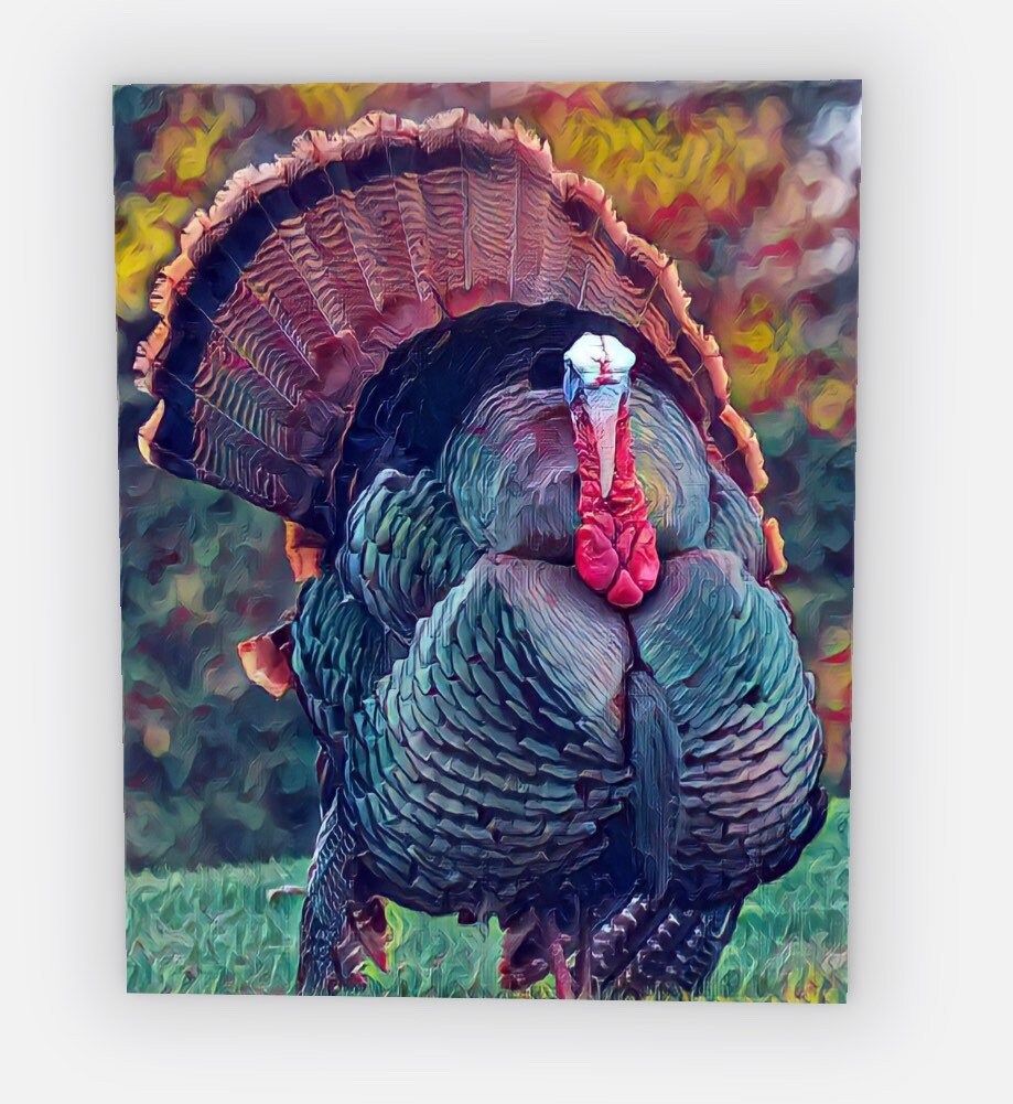 Wild Turkey Art Canvas Turkey Prints Canvas Prints 16”x26”wild Turkey ...