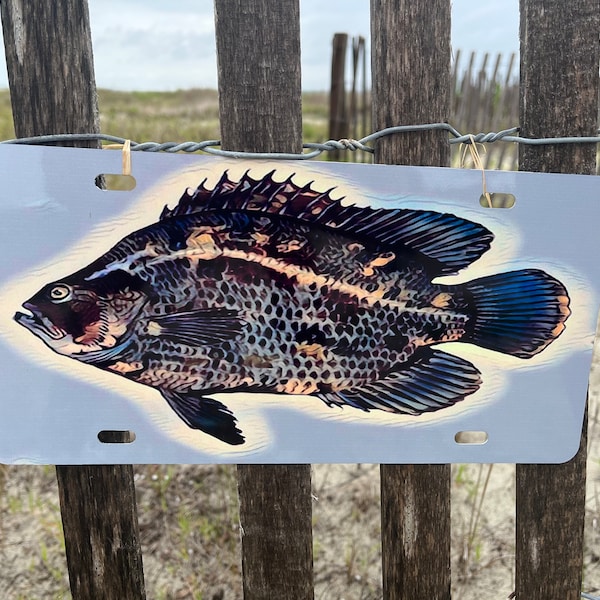 License Plate Fish Tail - Etsy