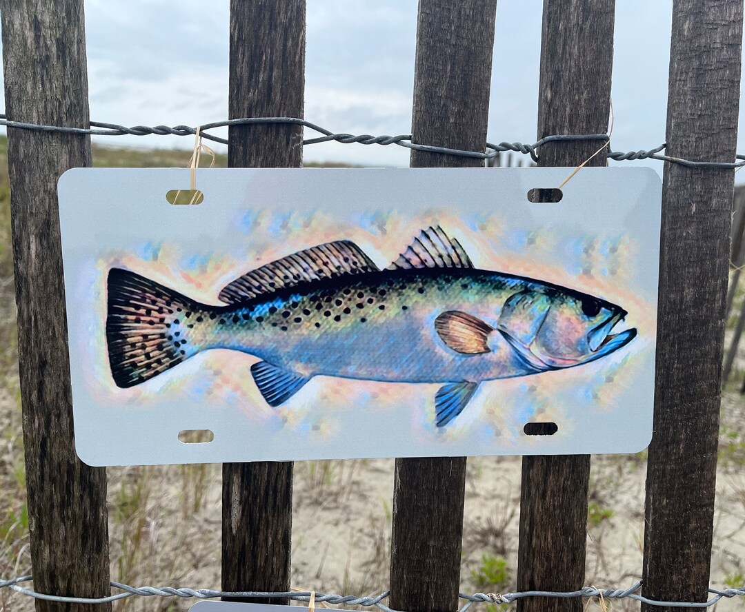 Speckle Trout License Plate, Fisherman Decorative License Plate, Trout ...