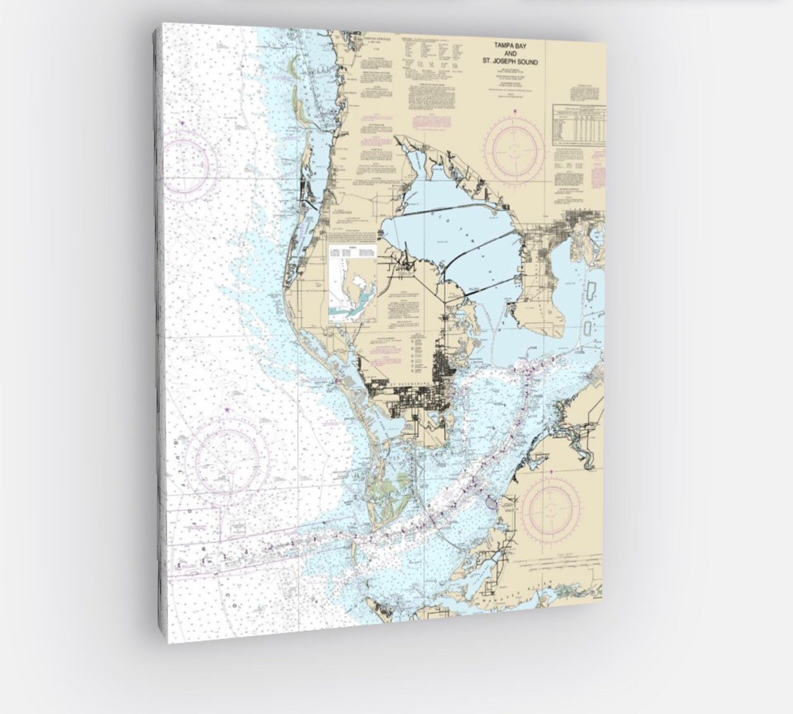 Tampa Bay Nautical Chart on Canvas , Clearwater Florida Nautical Chart ...