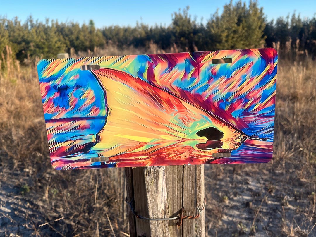 Redfish License Plate, Fisherman Decorative License Plate, Redfish ...
