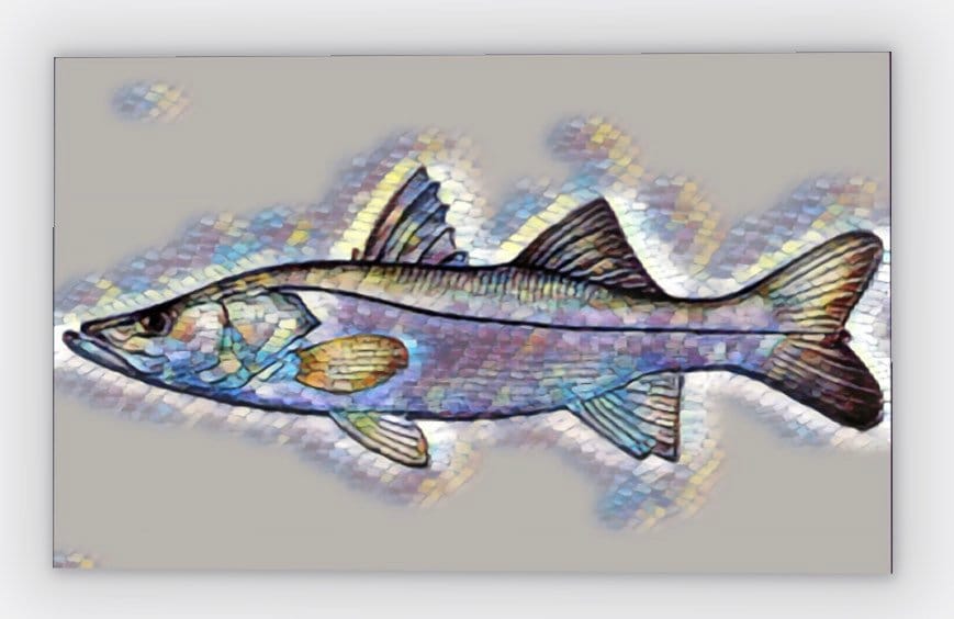 Snook Fish Art Canvas Snook Fishing Prints Canvas Prints 16x26snook ...