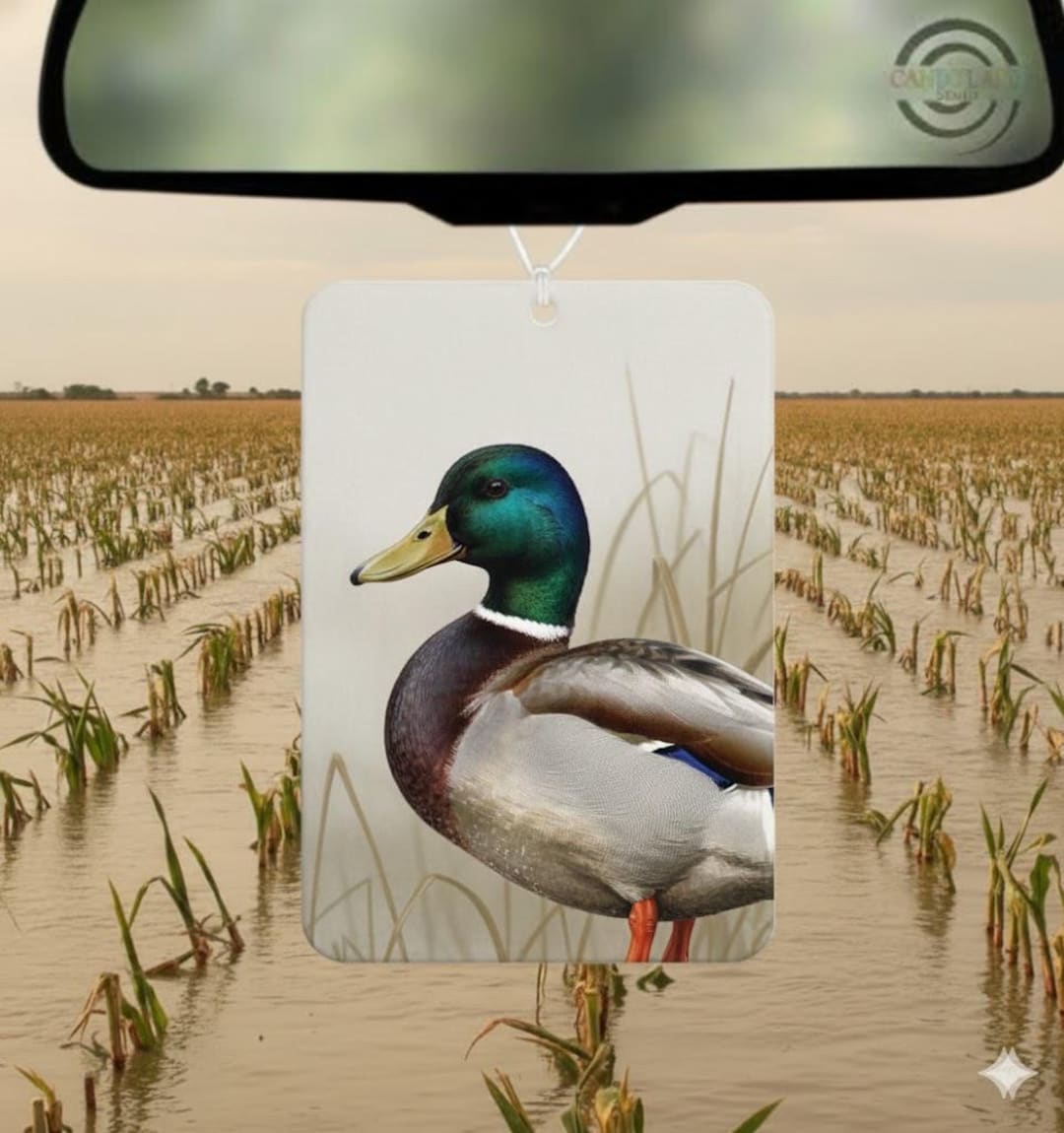 Mallard Duck Car Freshener for Men, Hunting Gift for Him, Duck Air ...