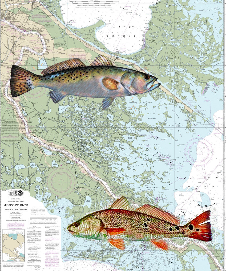 Custom NOAA Charts With Saltwater Fish Nautical Map/chart Printed on ...