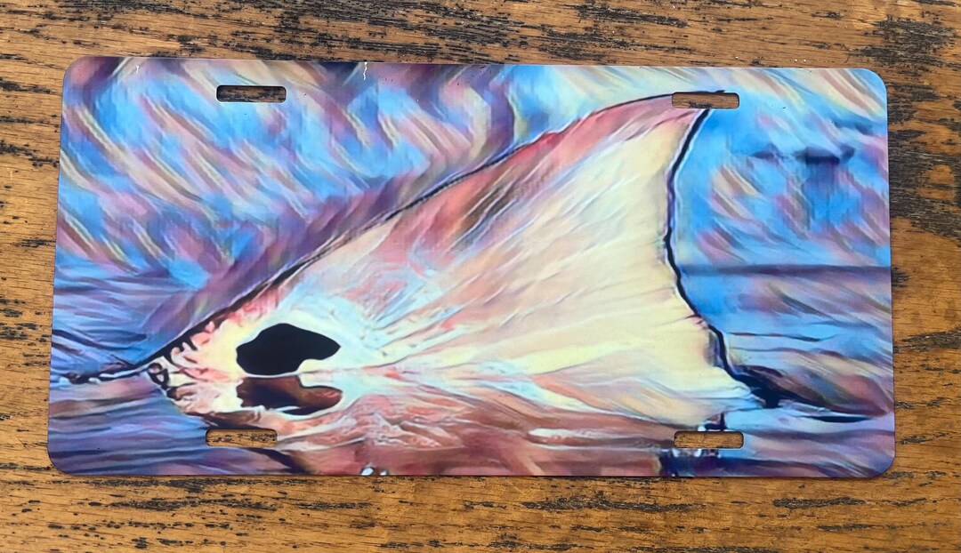 Redfish License Plate, Redfish Car Tag, Redfish Front License Plate ...
