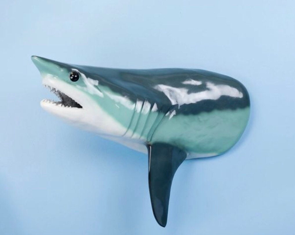 Mako Shark Fiberglass fish Mount . Shark Mount Full body | Etsy
