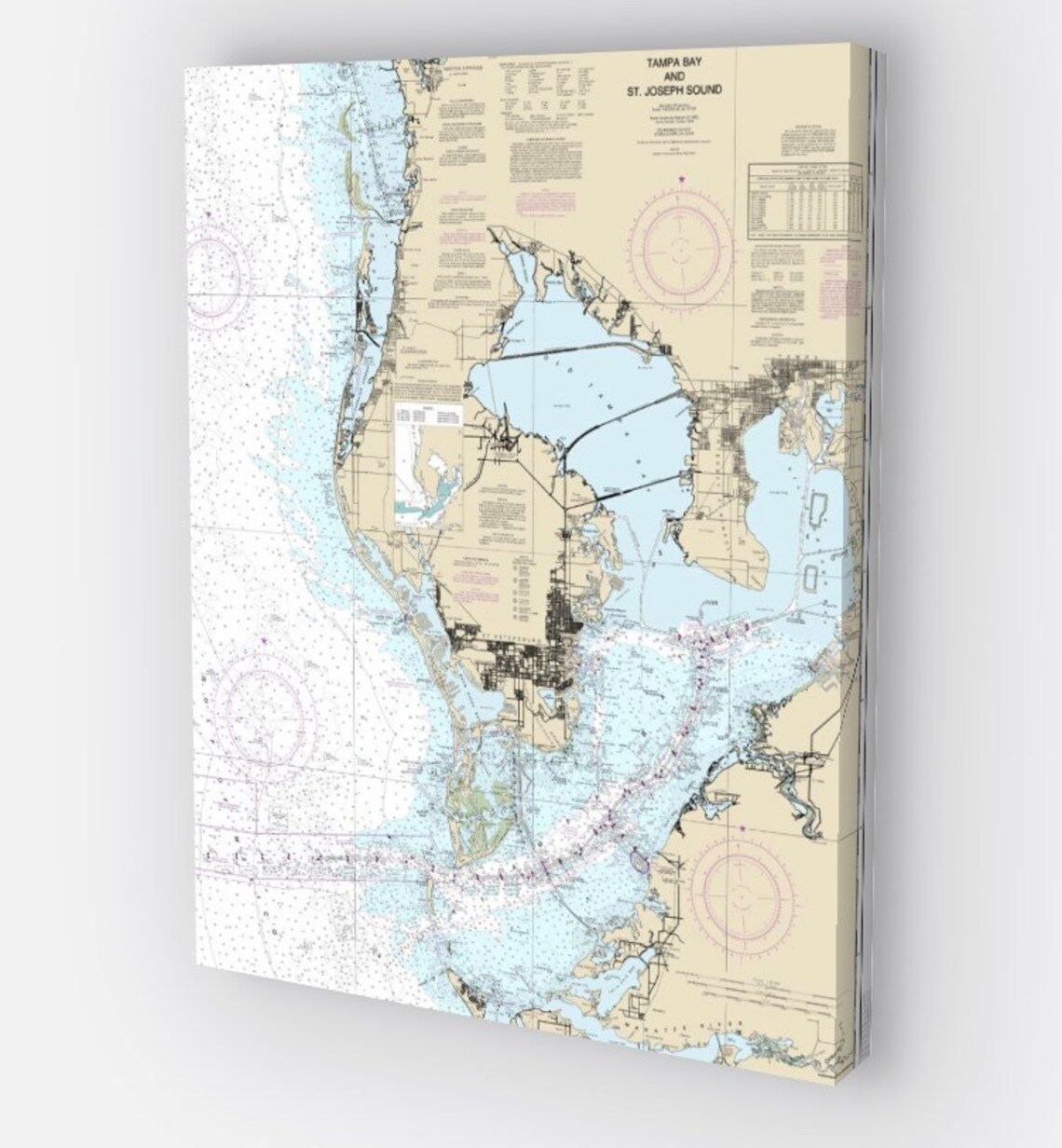 Tampa Bay Nautical Chart on Canvas , Clearwater Florida Nautical Chart ...