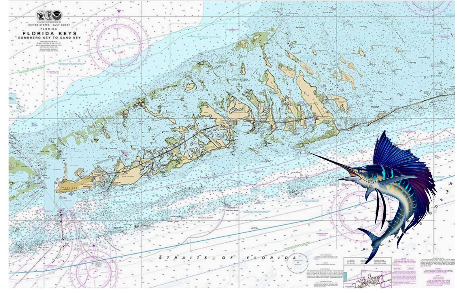 Custom NOAA Charts With Saltwater Fish Nautical Map/chart Printed on ...