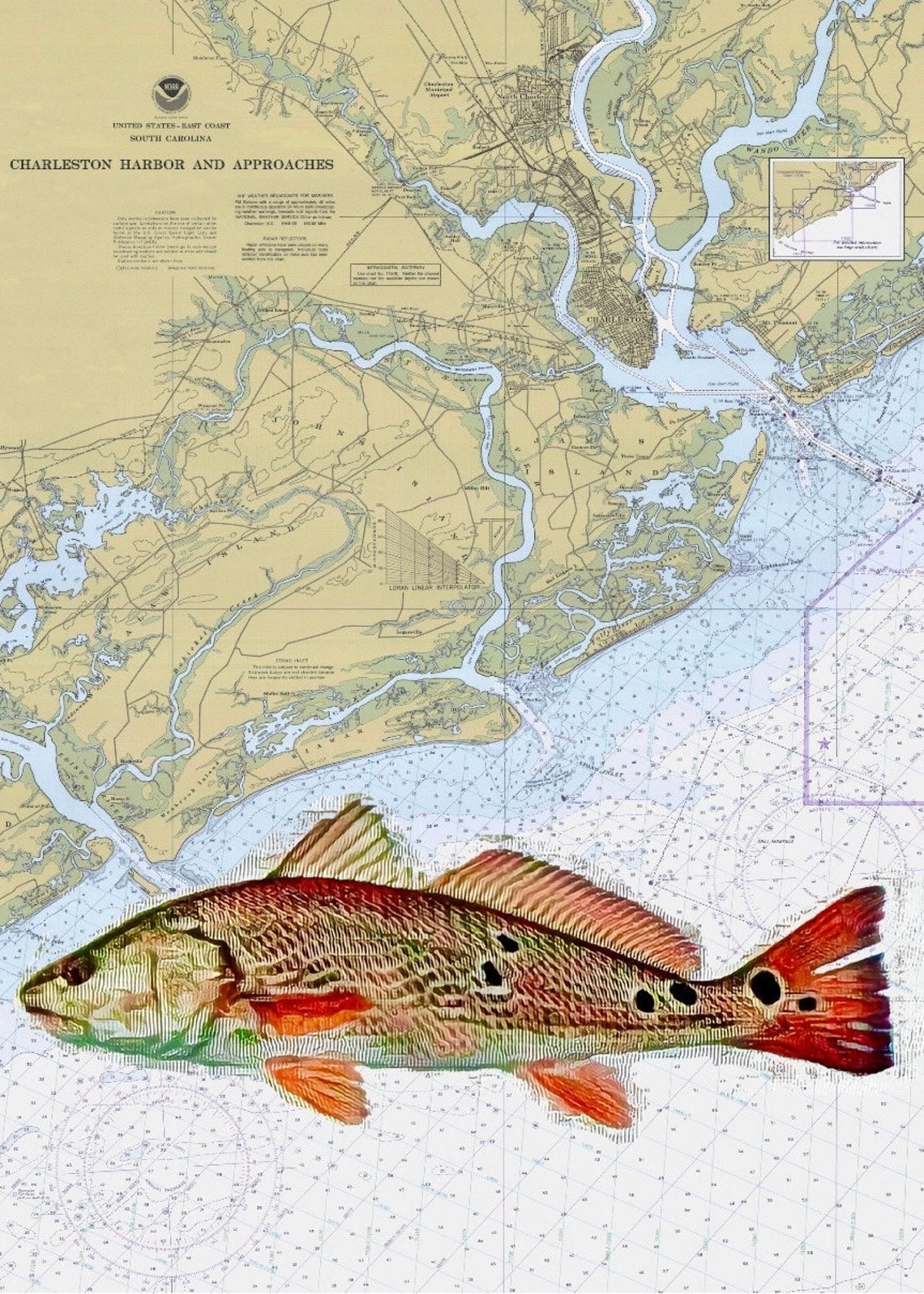 Custom NOAA Charts With Saltwater Fish Nautical Map/chart Printed on ...