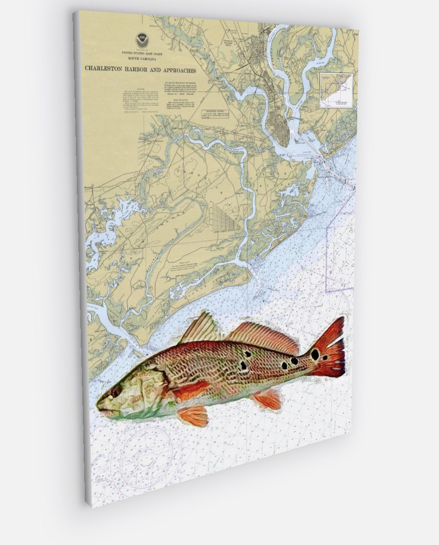 Custom NOAA Charts With Saltwater Fish Nautical Map/chart Printed on ...