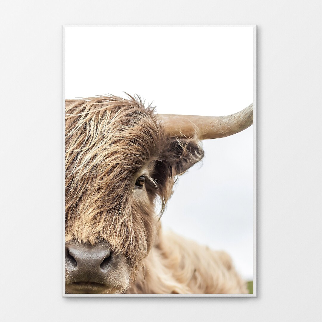 Printable Highland Cow Print - Southwestern, Farmhouse Decor, Digital ...
