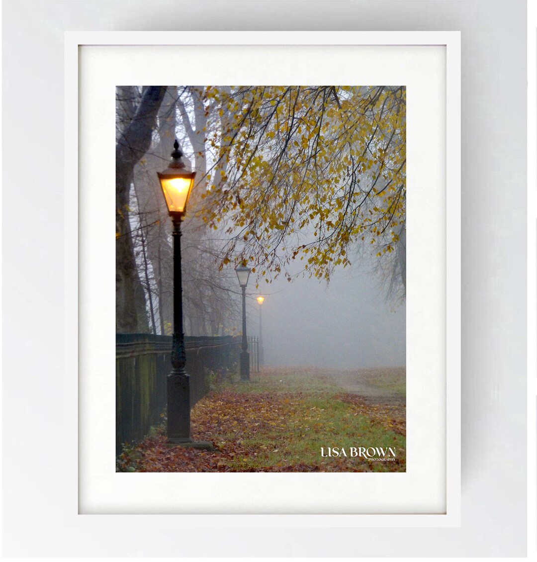 Avenham Park, Top Walk, Avenham Colonnade, Large Wall Art Print, Colour ...