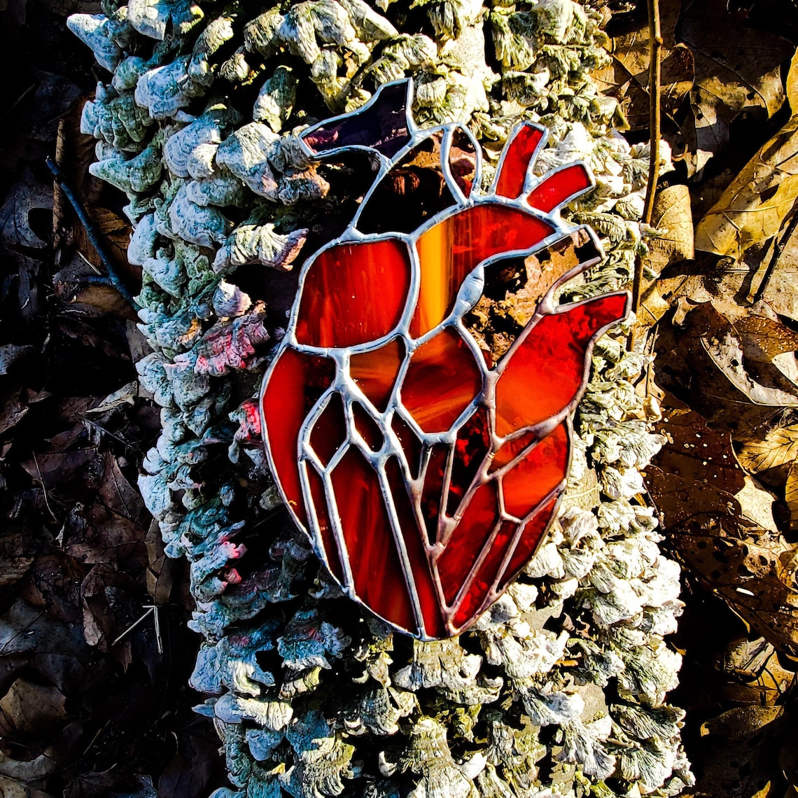 Glass Heart Art, Anatomic Art, Heart Stained Glass, Heart Suncatcher ...