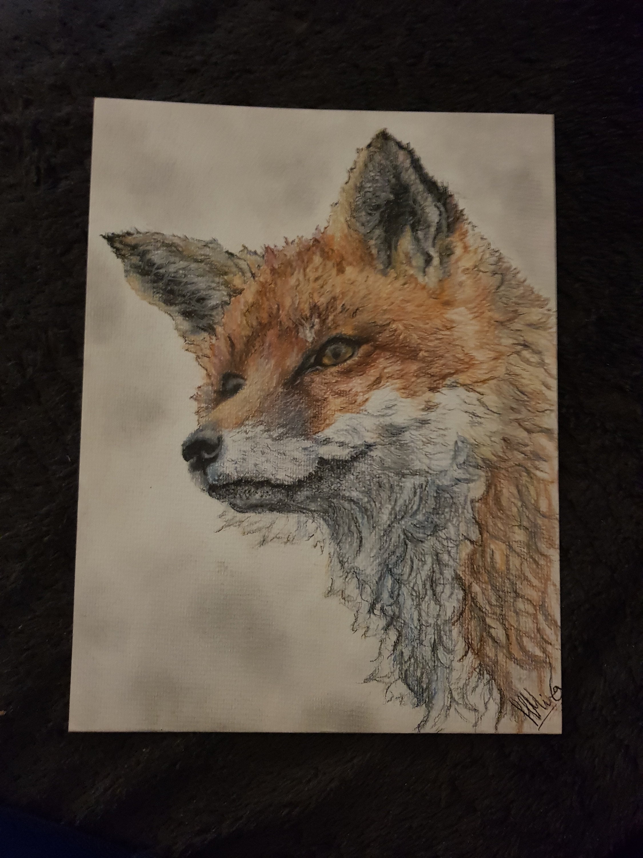Original Soft Pastel Fox Portrait - Etsy