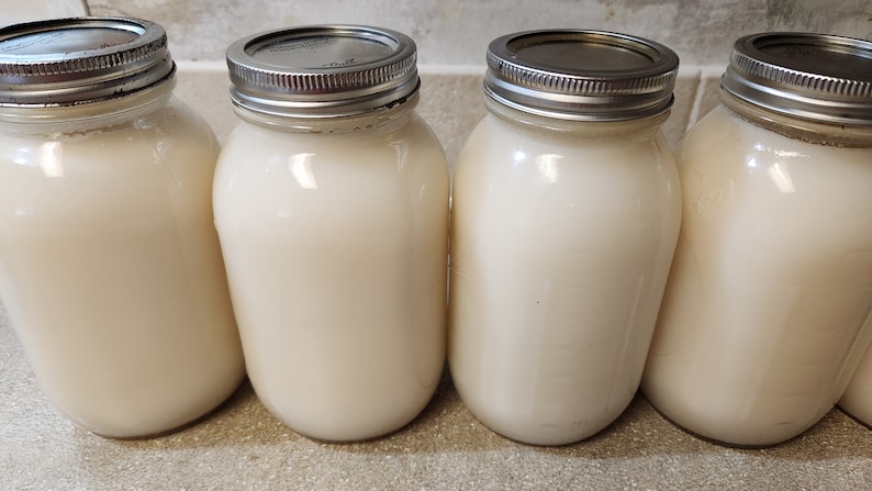100% Natural Leaf Lard From Small Florida Farm, NON -GMO - Etsy