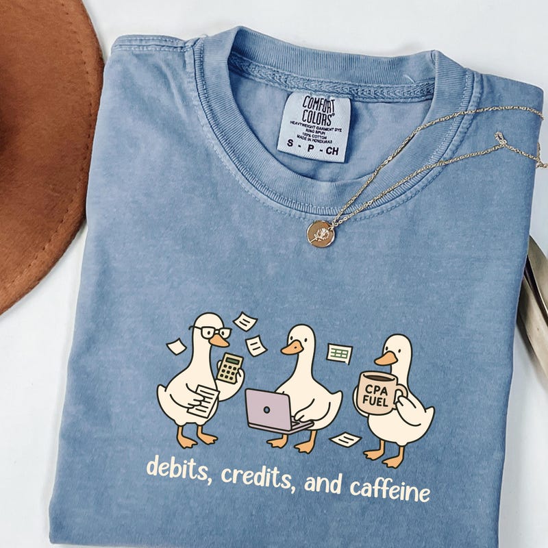 Accountant Goose Shirt - Etsy