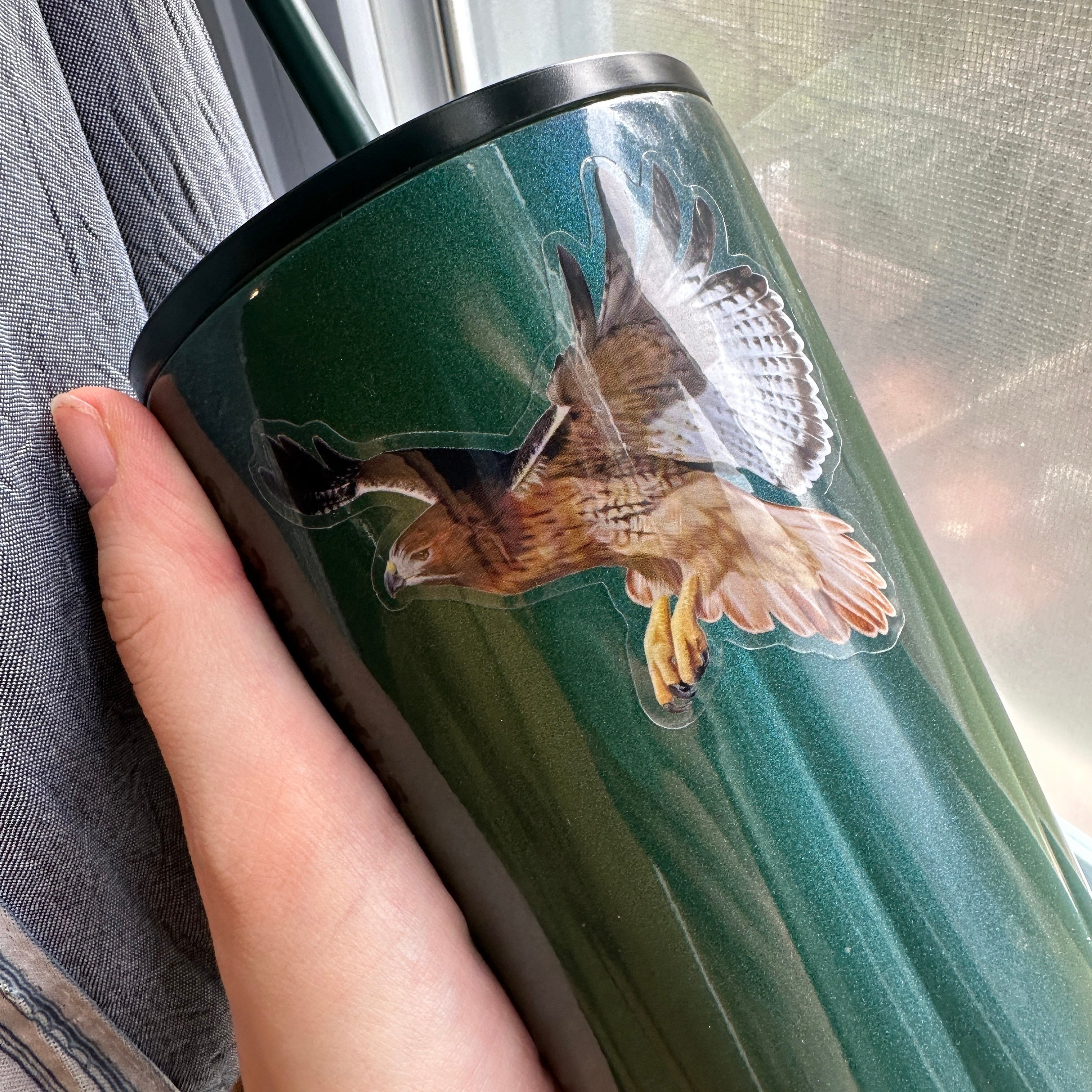 Red-tailed Hawk Flying Realistic Clear Vinyl Sticker - Etsy