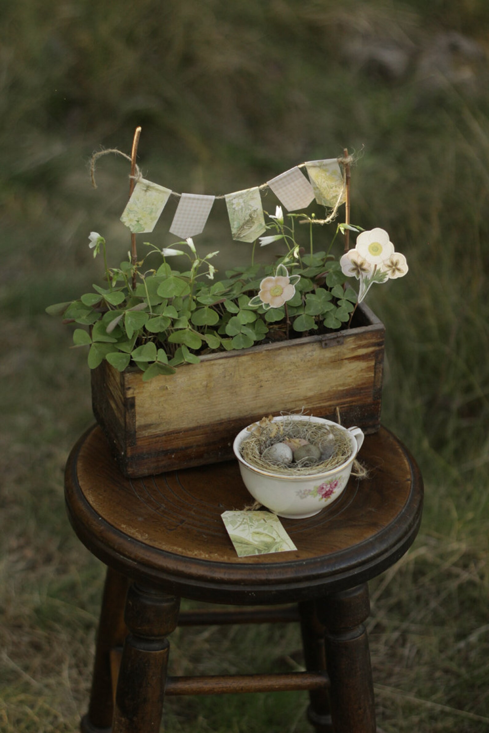 Welcome Spring Party Printable Kit Celebrating Nature - Etsy