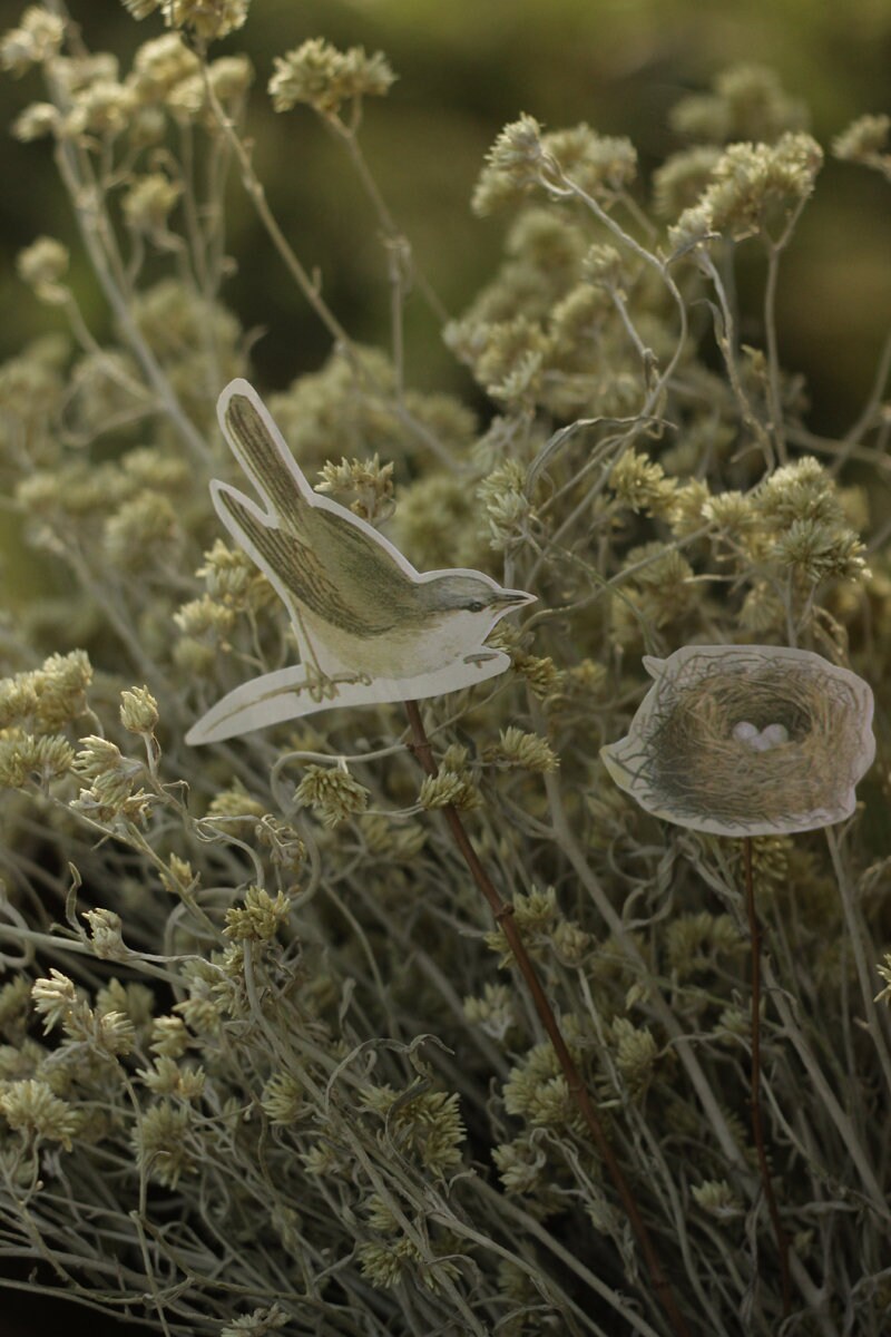 Welcome Spring Party Printable Kit Celebrating Nature - Etsy