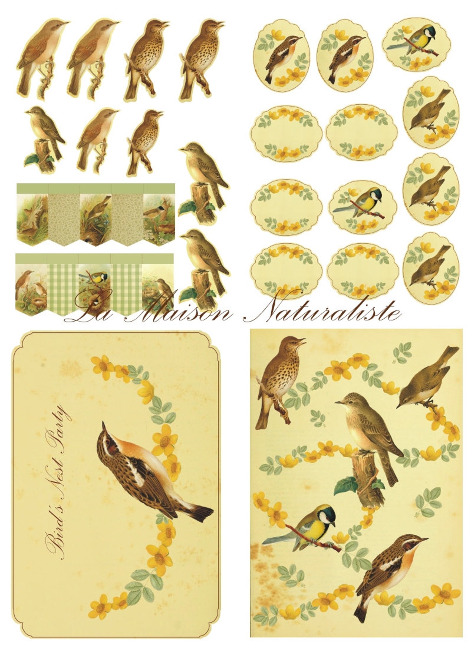 Birds Nest Party Printable Kit Birthday Nature Inspired - Etsy