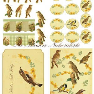 Birds Nest Party Printable Kit Birthday Nature Inspired - Etsy